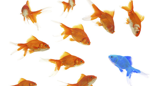 How to Effectively Convey Your Value Proposition - Interchanges